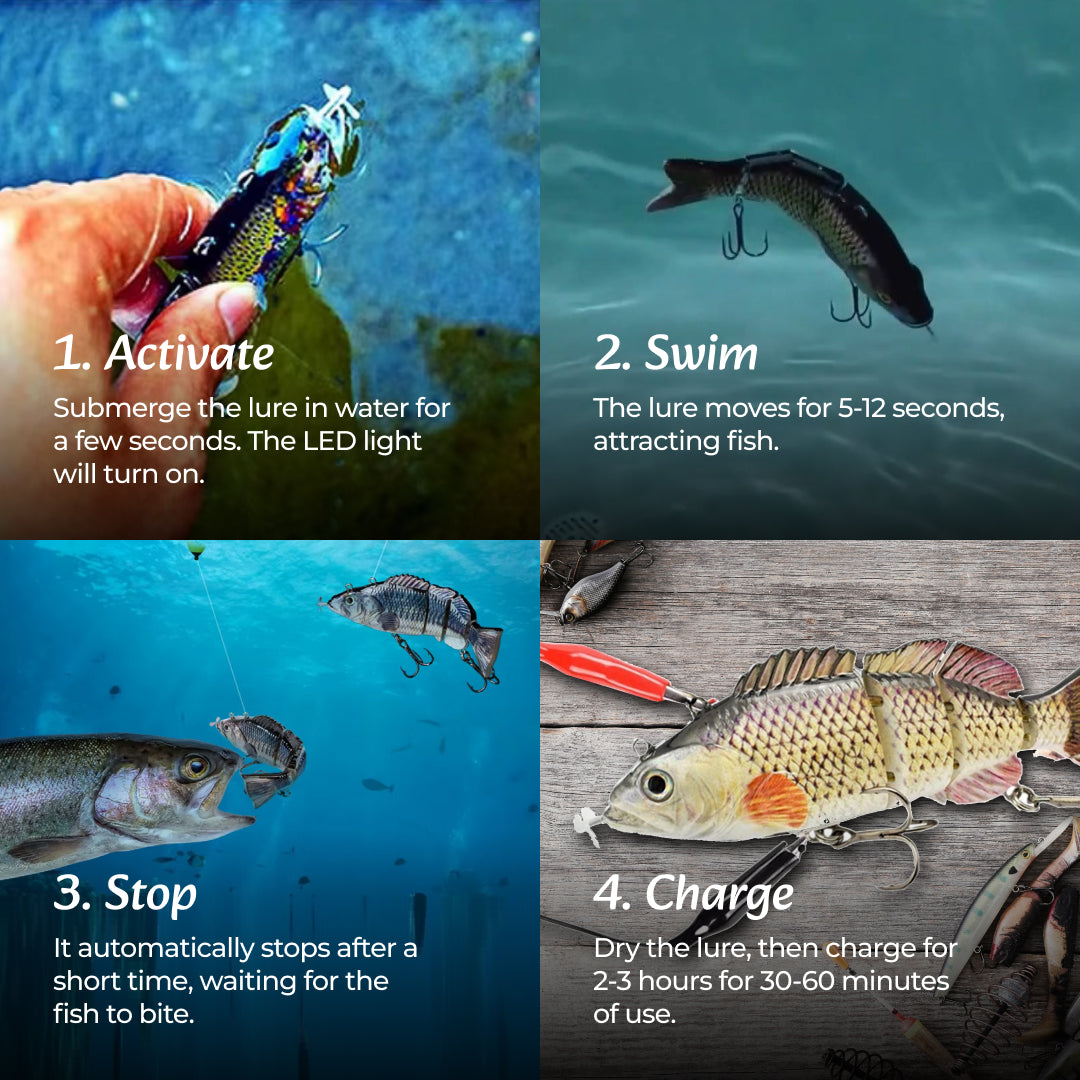 Your browser does not support the video tag.
